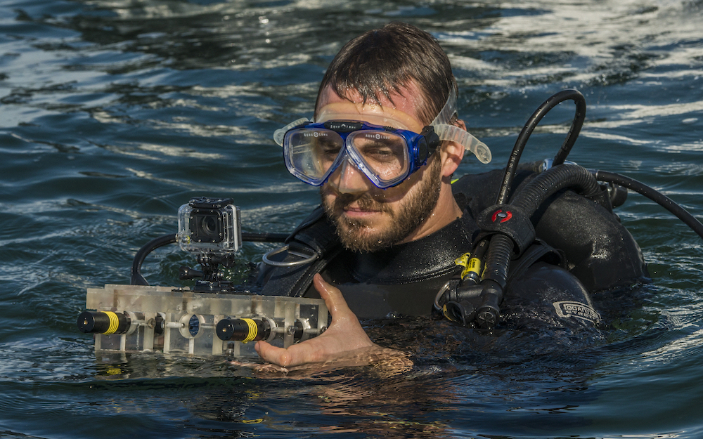 Arts and Sciences General Development Fund | SPARK FSU