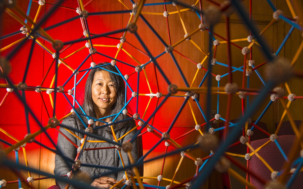 Arts and Sciences General Development Fund | SPARK FSU