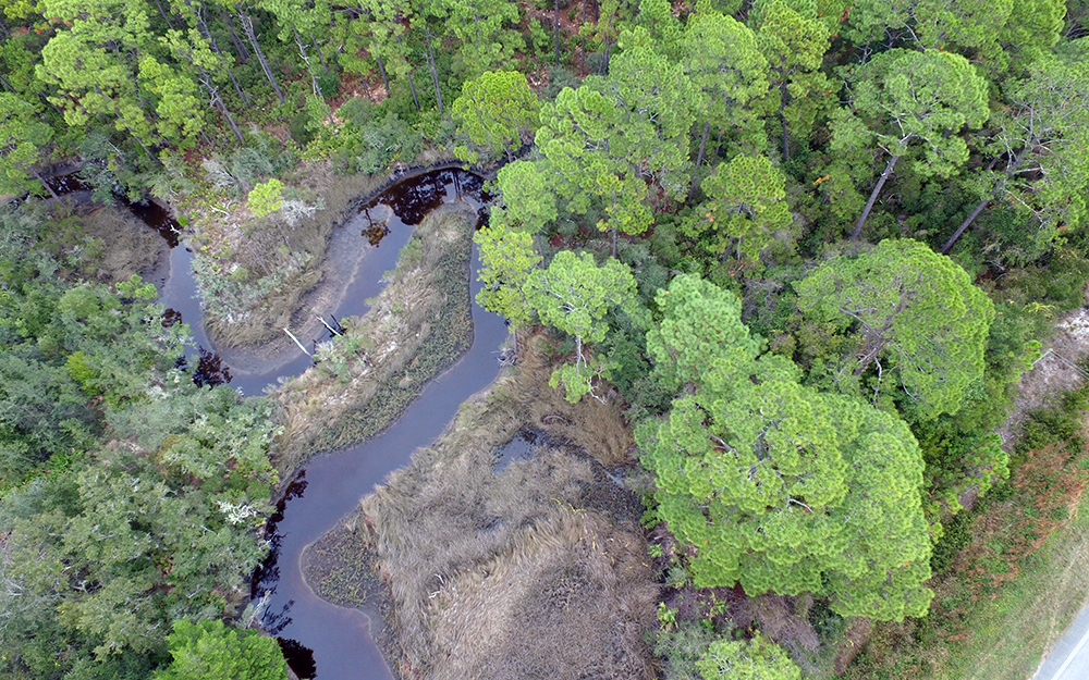 Coastal & Marine Laboratory | SPARK FSU