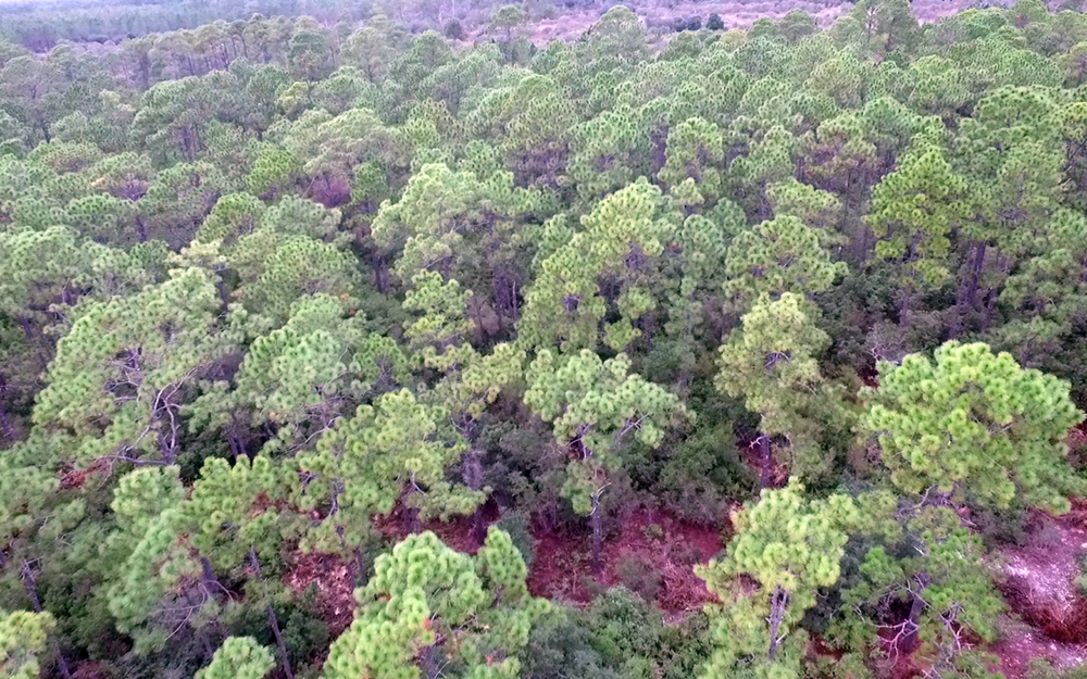 Coastal & Marine Laboratory | SPARK FSU