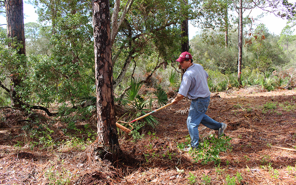 Coastal & Marine Laboratory | SPARK FSU