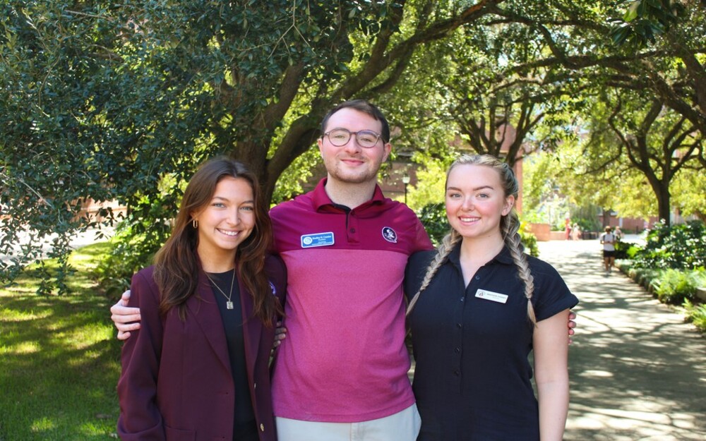 ALL IN for Student Success | SPARK FSU