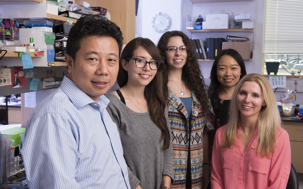 Arts and Sciences General Development Fund | SPARK FSU