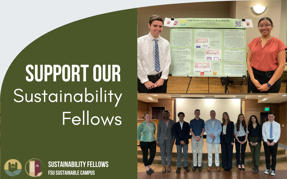 Support the Sustainability Fellows! | SPARK FSU