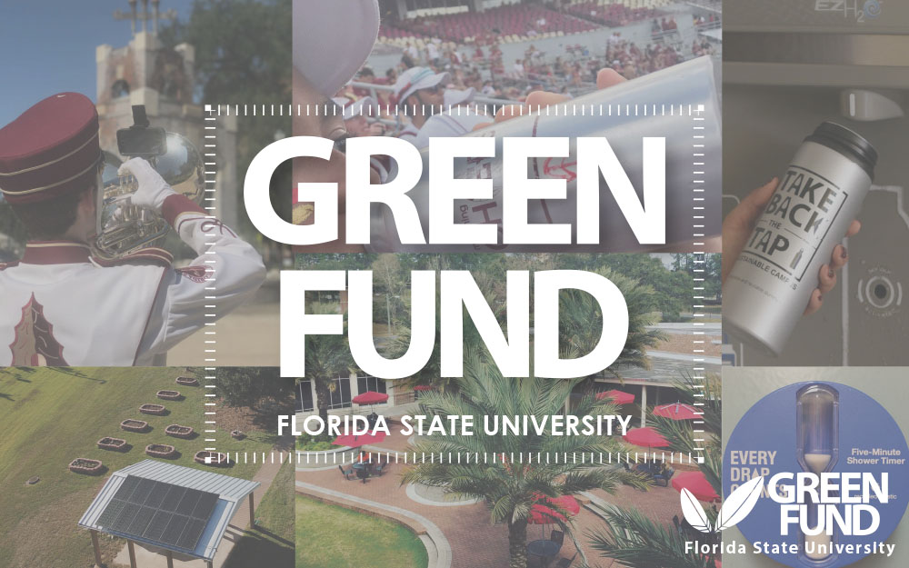 Sustainable Campus Green Fund | SPARK FSU