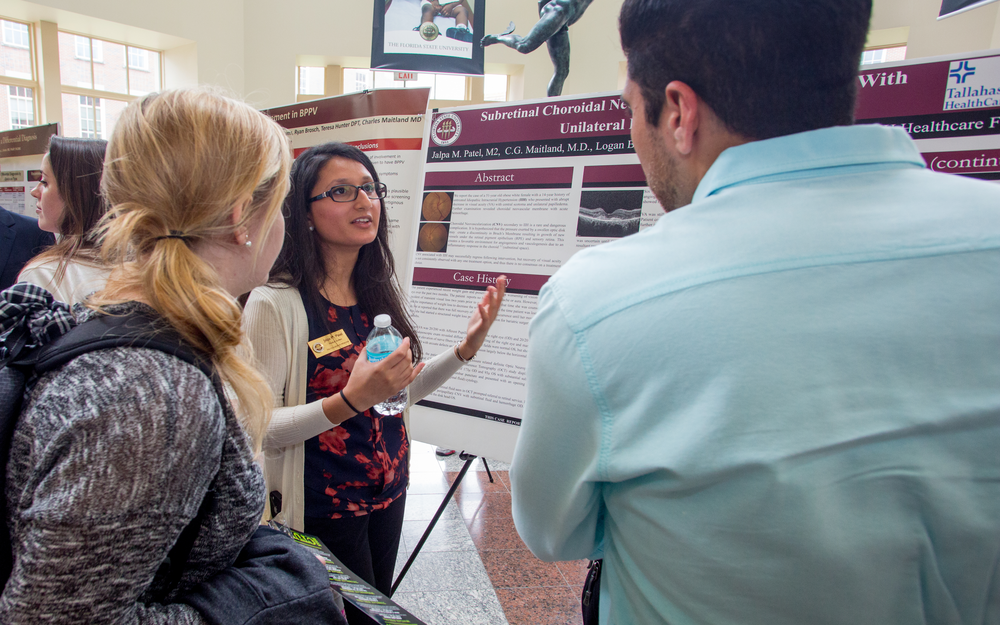 Summer Research Fellowship | SPARK FSU